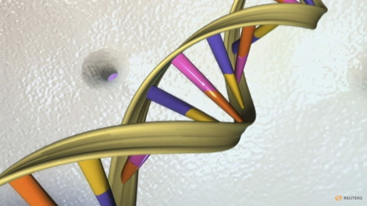 Three-person IVF technique spared children from inherited diseases ...