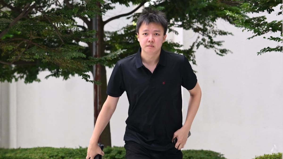 Jail for man who moderated porn sites with sister's help - CNA