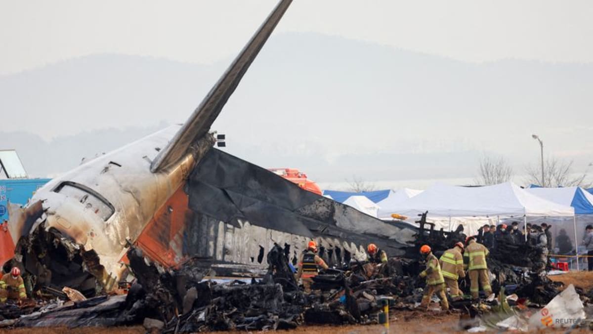 Evidence shows Jeju Air pilots shut off less-damaged engine before ...