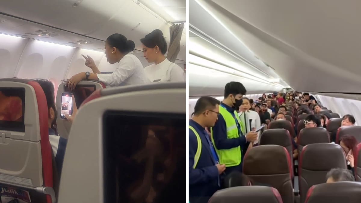 Woman Who Argued With Cabin Crew In Viral Vid Speculated To Be S’porean ...