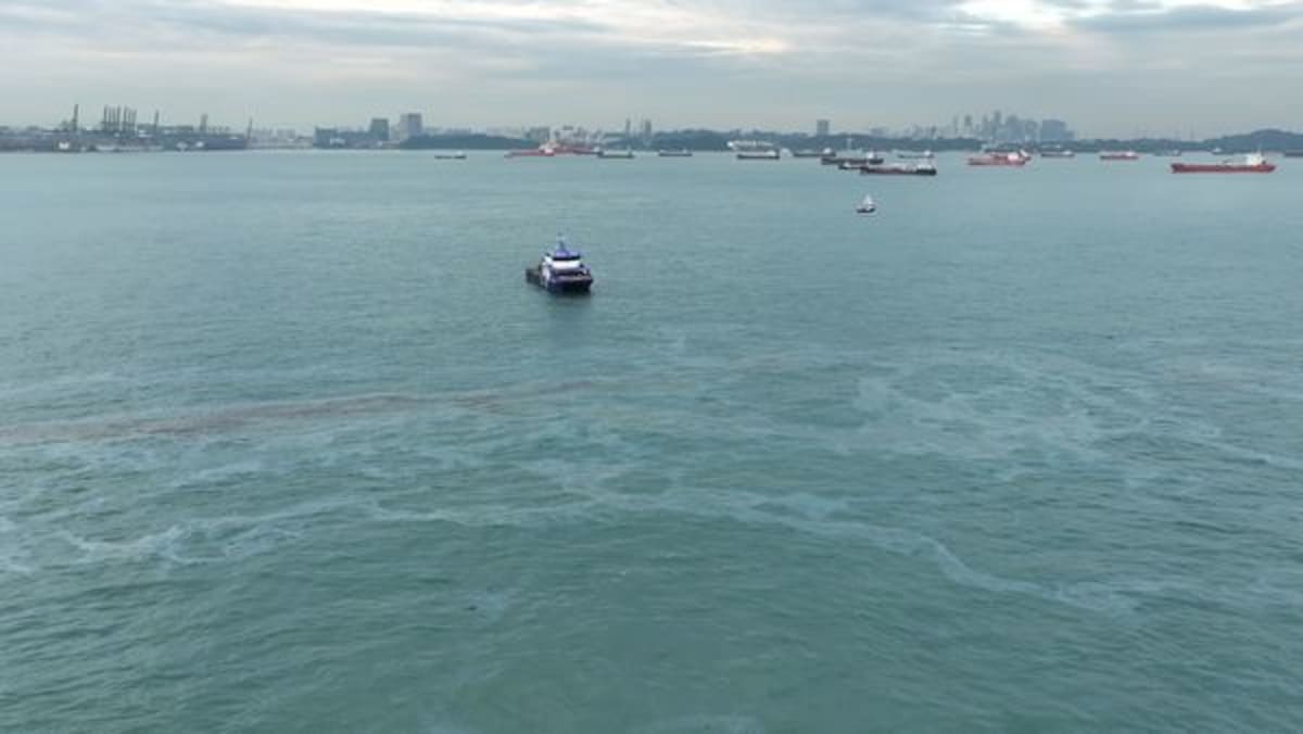 Oil spill containment measures activated after Shell pipeline leak off ...
