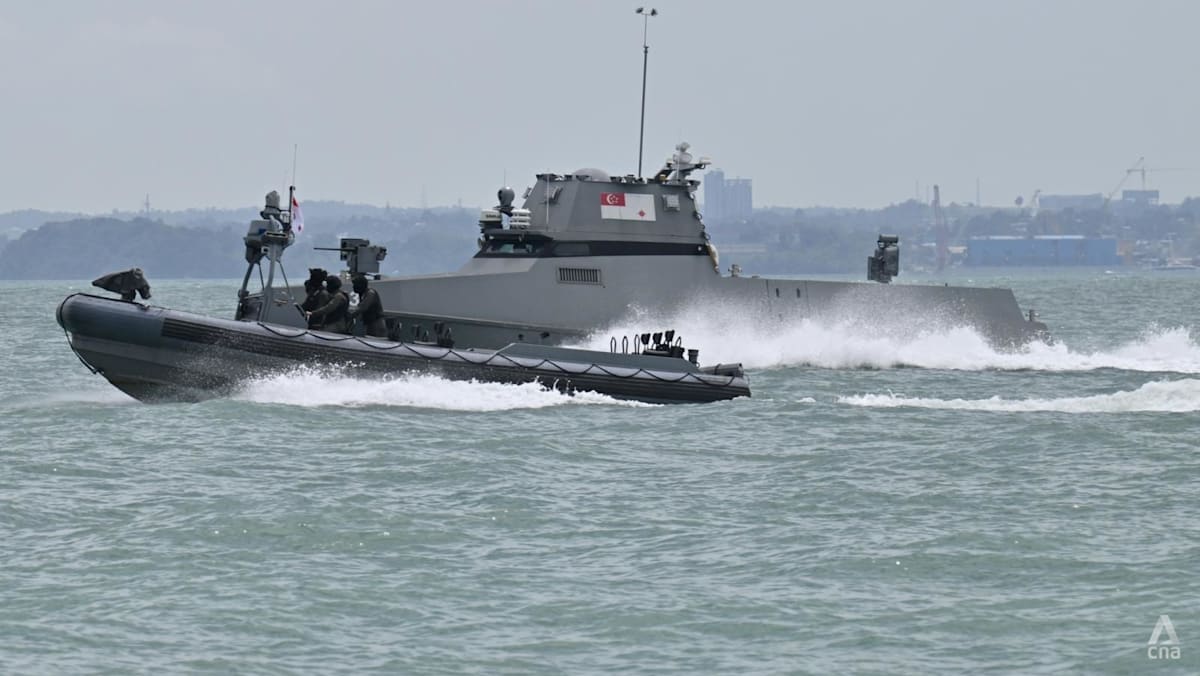 Autonomous navigation, two-man remote crew: Singapore navy's unmanned ...