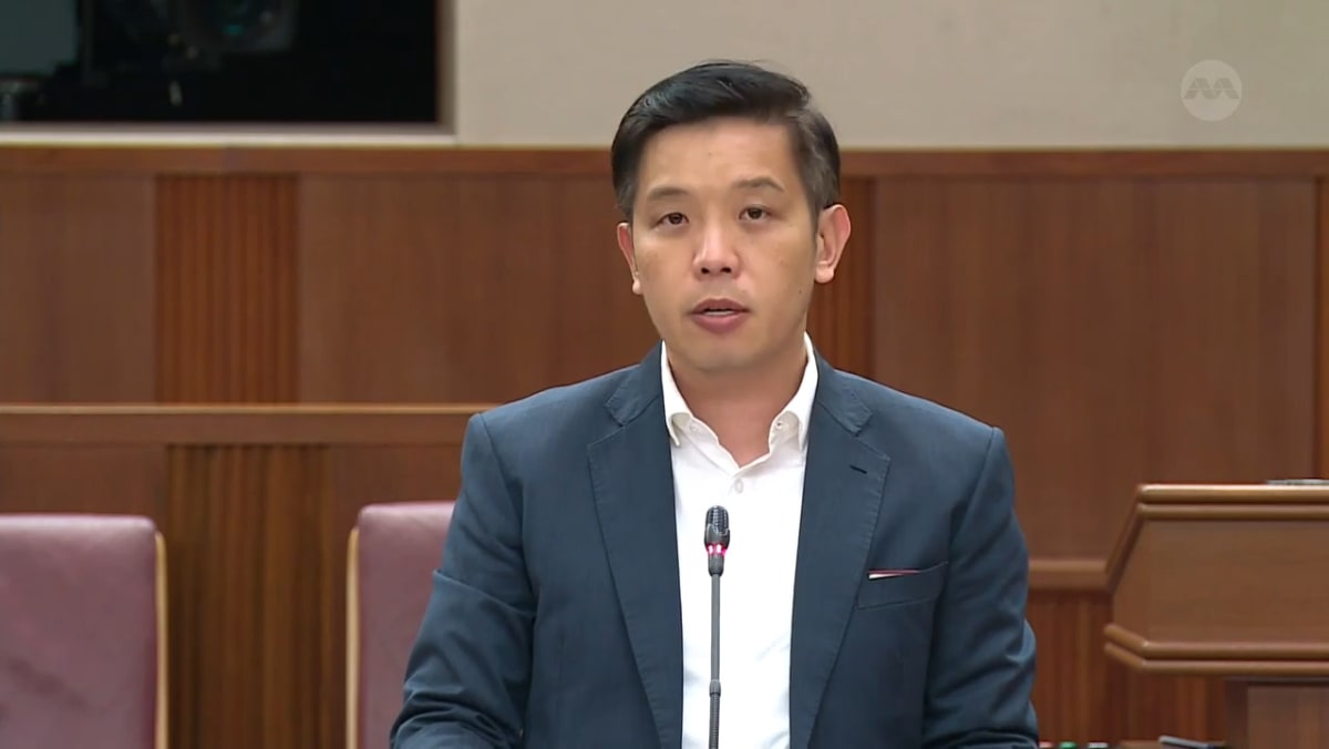 Alvin Tan on Johor-Singapore Special Economic Zone - CNA