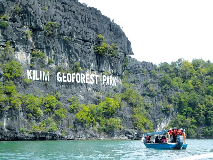 Sungai Kilim Nature Park. - TODAY