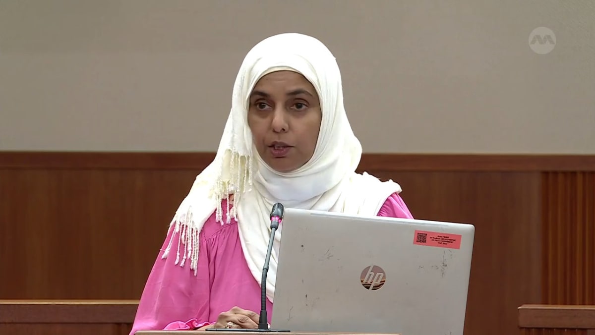 Committee of Supply 2025 debate, Day 2: Razwana Begum Abdul Rahim on ...
