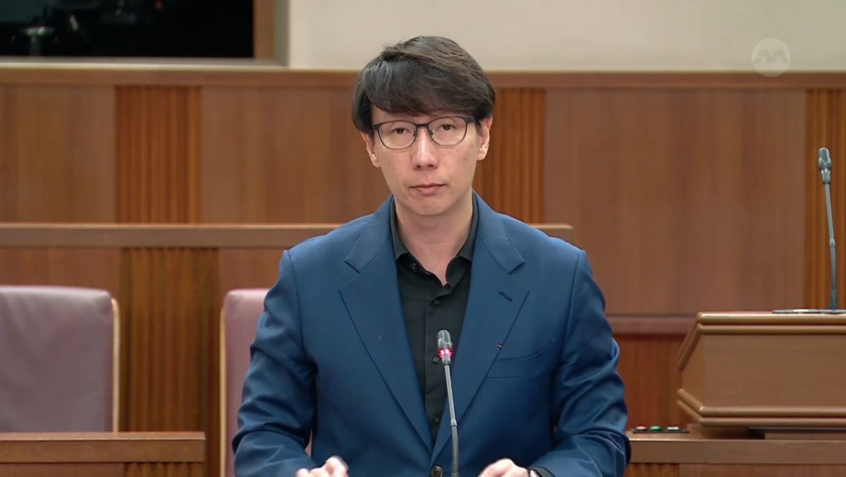 Budget 2025 debate: Edward Chia on rising cost of living and quality of ...