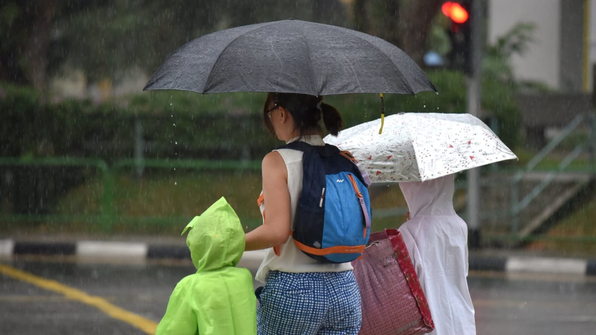 Wet and cool weather expected in second half of December: Met Service - CNA