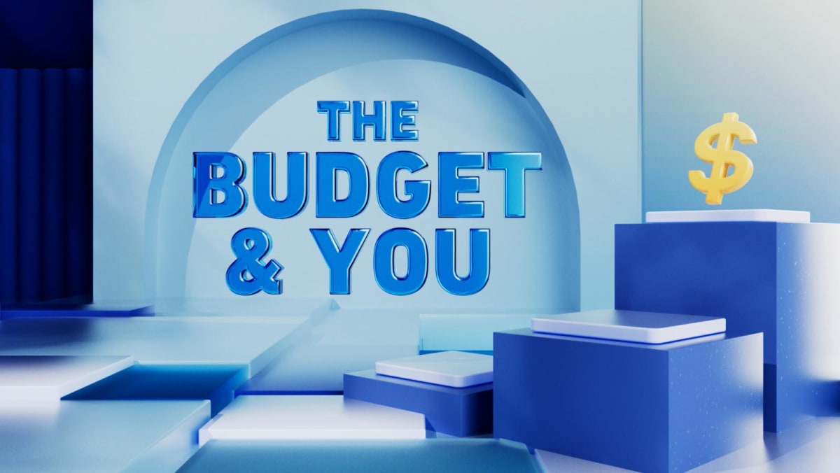 The Budget & You 2025 - CNA