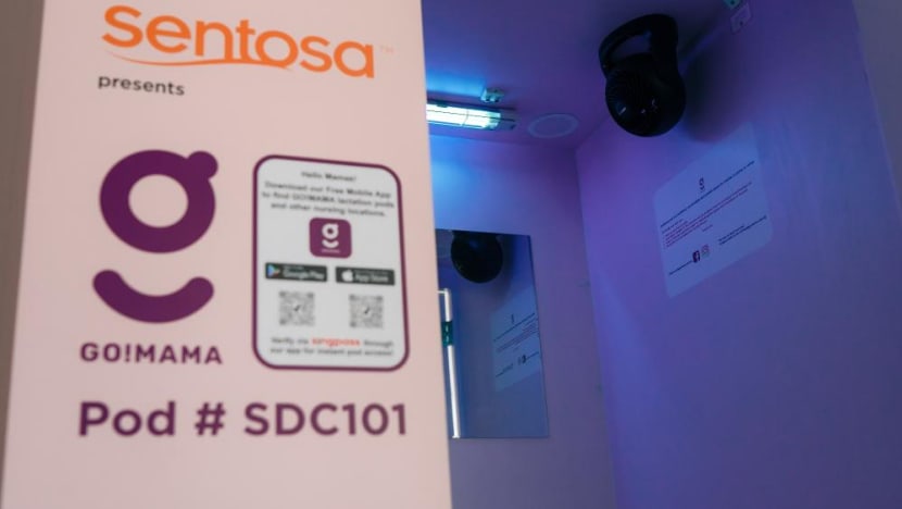 5 lactation pods set up across Sentosa in trial - CNA