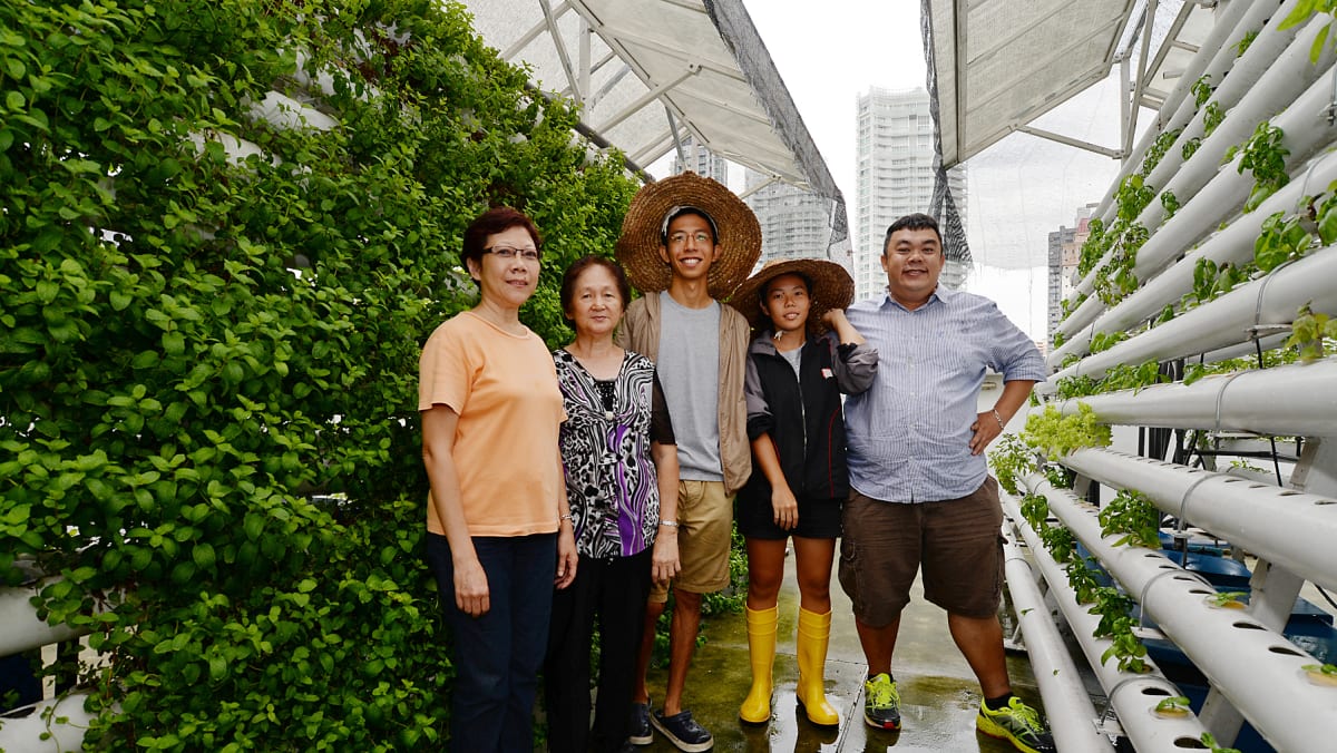 Farming, one rooftop at a time - TODAY