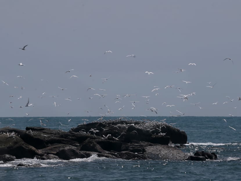 TODAY's morning brief for Wednesday, July 5 - TODAY