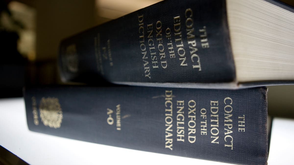 Oxford University Press has named 'rizz' as its word of the year - CNA