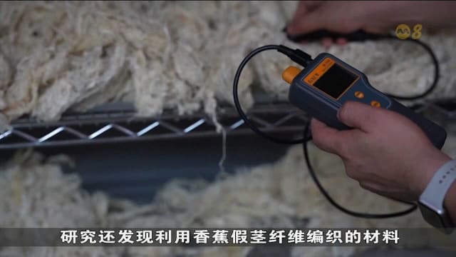 台湾业者将香蕉废弃物转化为再生材料 - 8world