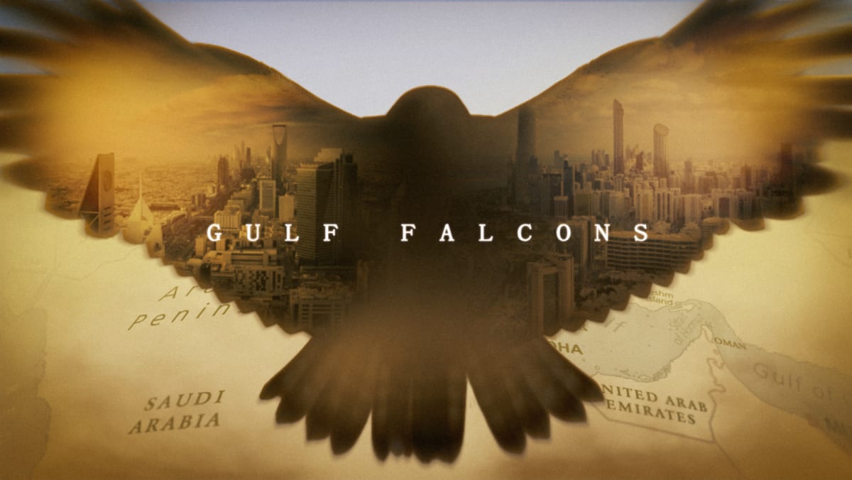 Gulf Falcons - CNA