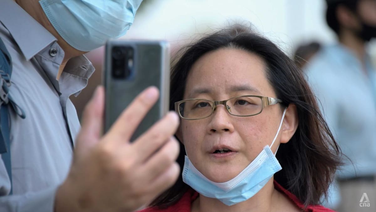 Healing the Divide's Iris Koh gets new charges, including telling ...