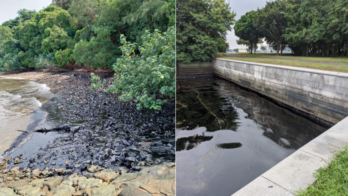 More beaches closed after oil spill; MPA working with insurer to set up ...