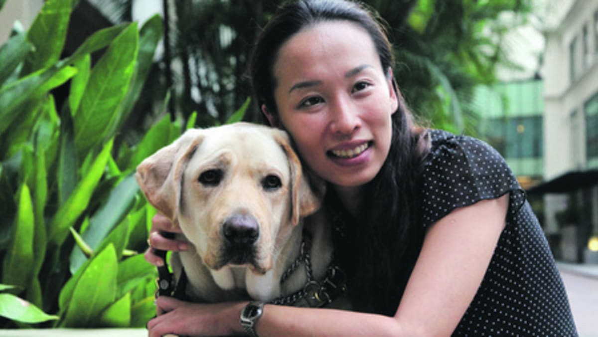 Guide dogs now welcome in HDB homes - TODAY