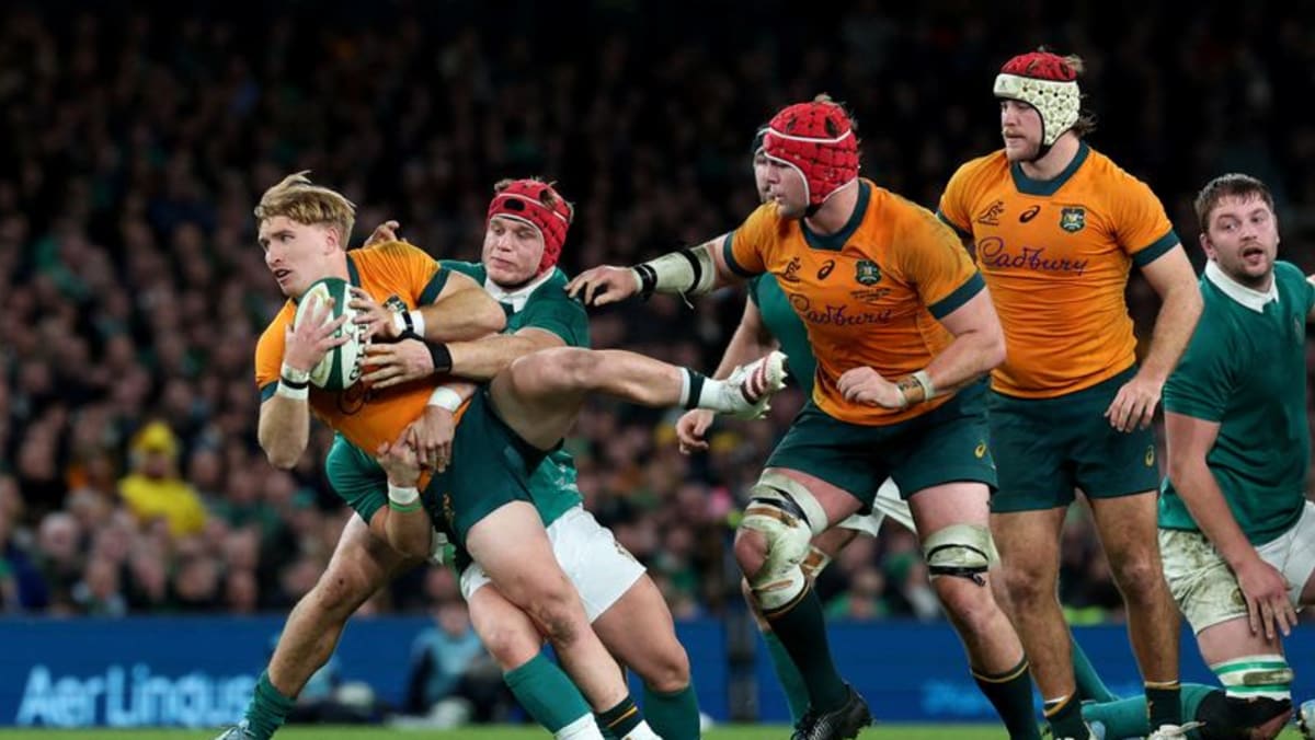 Wallabies gloom lifts with solid Northern Hemisphere tour - CNA