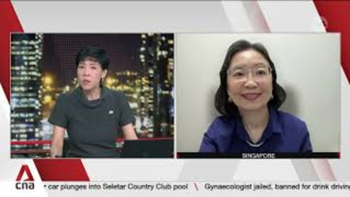 Associate Professor Hannah Yee-Fen Lim on proposed Protection from ...