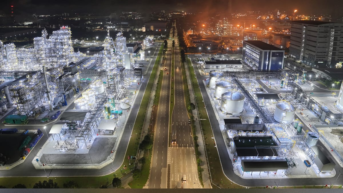 Commentary: What's the problem with biofuels? - CNA