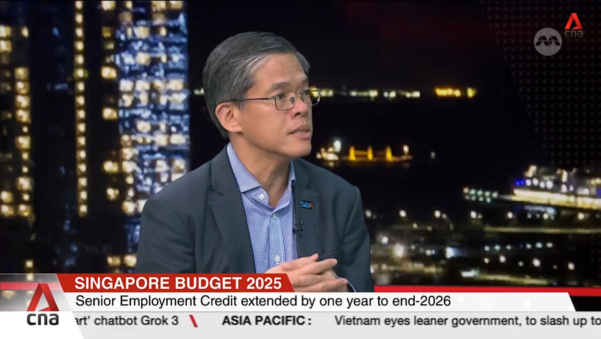 SBF CEO Kok Ping Soon on businesses' sentiments on Budget 2025 - CNA
