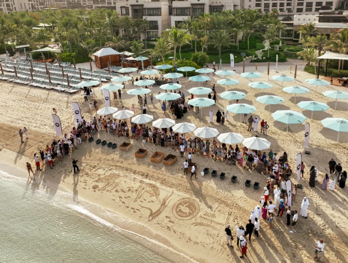 Not just skyscrapers: Dubai’s lesser-known turtle rescue programme is a ...