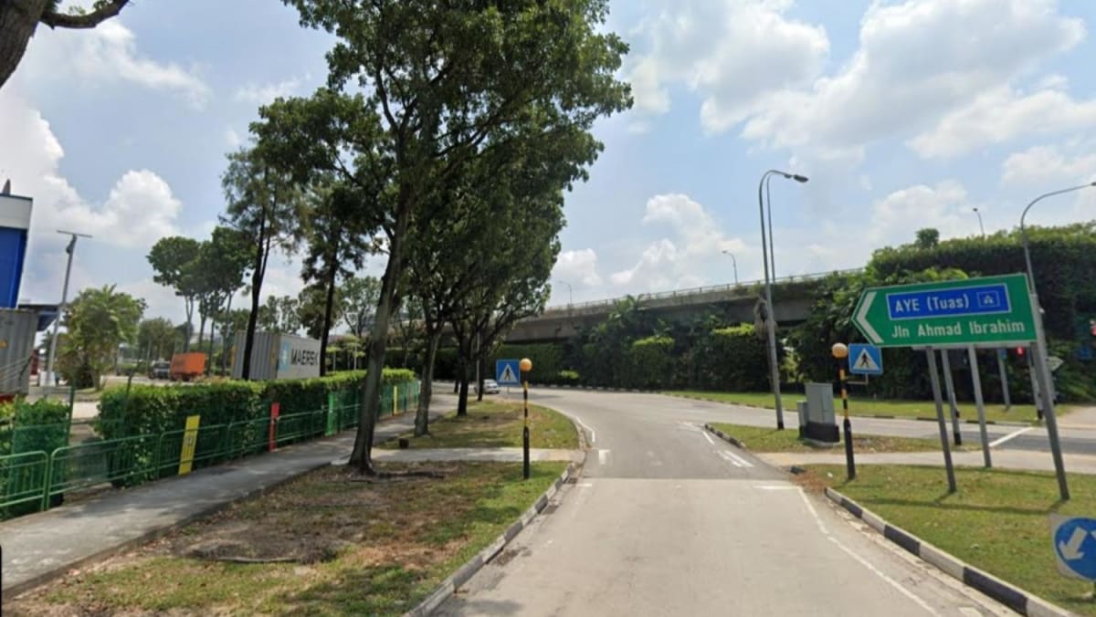 Man 70 Who Drove Without Licence And Killed Cyclist At Zebra Crossing