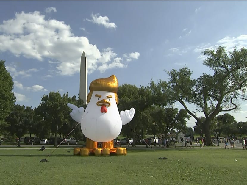 Inflatable Trump chicken takes roost outside White House - TODAY