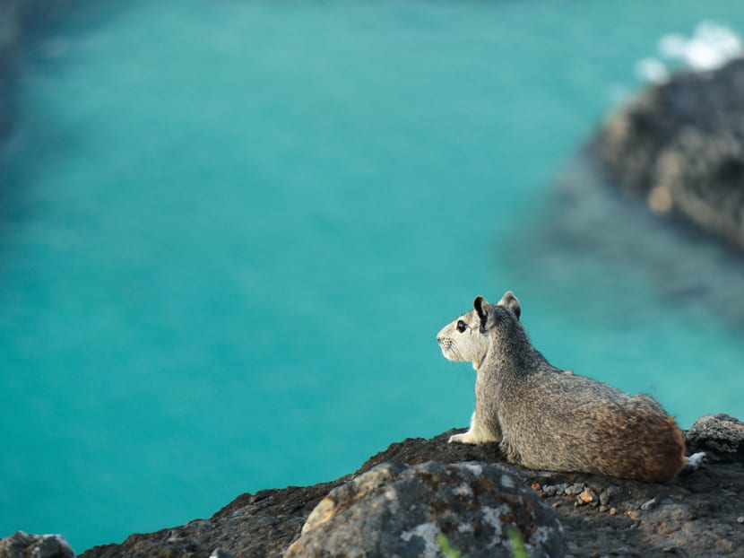 A compact powerhouse - TODAY