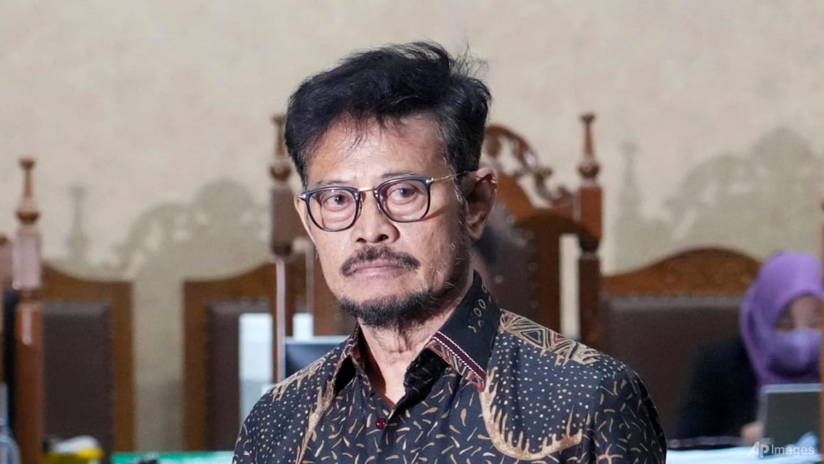Indonesian ex-minister gets 10 years' jail for US$900,000 corruption ...