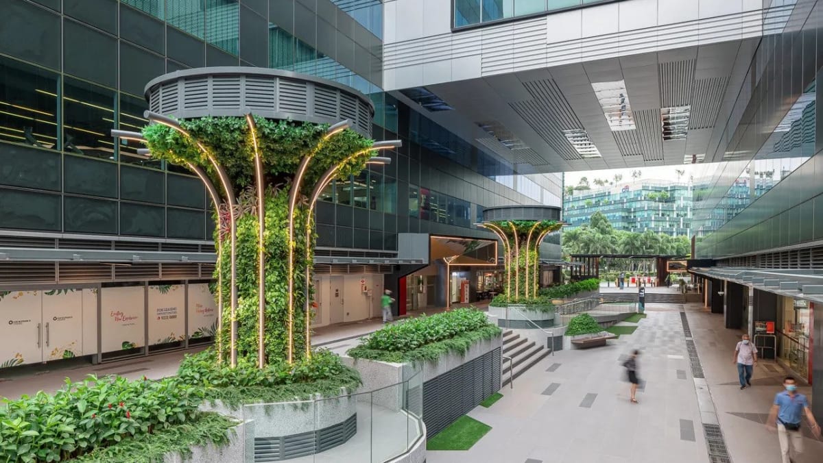 Commentary: Young architects have responsibility in creating 'green ...