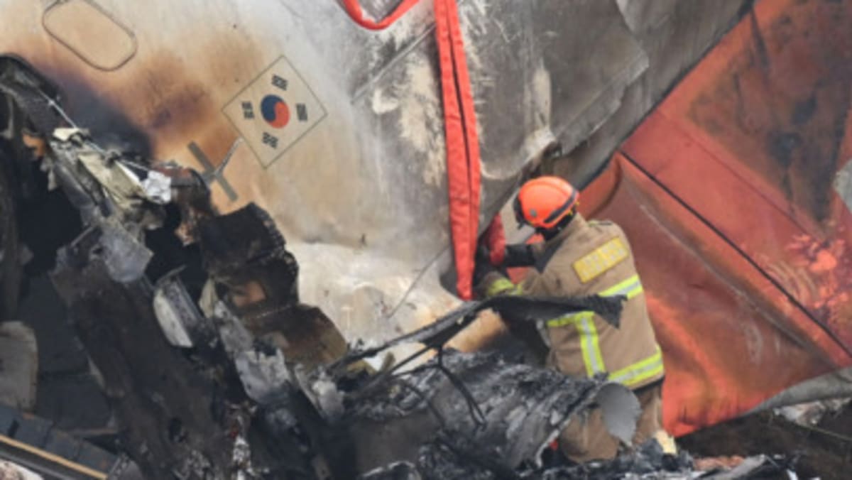 Jeju Air crash: Evidence show pilots shut down wrong engine before crash - CNA