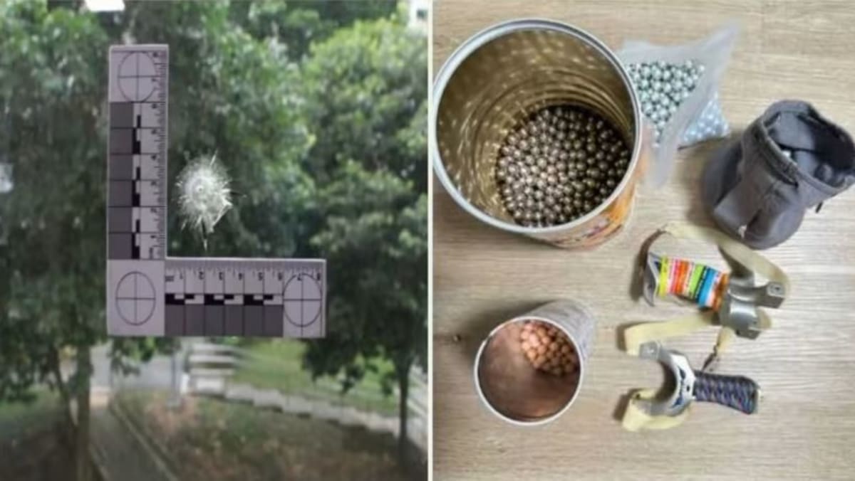 Lelaki bakal didakwa kerana tembak burung, rosakkan tingkap flat di ...