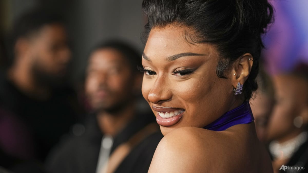 Judge extends Megan Thee Stallion’s protection order against rapper ...