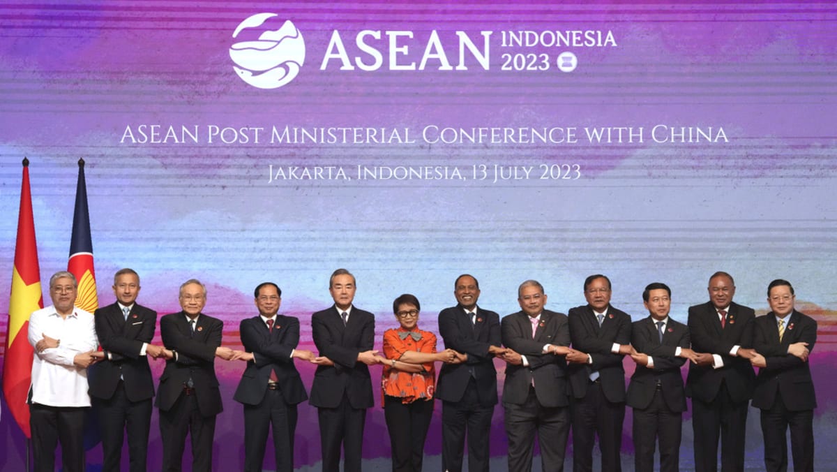 Commentary: Navigating China’s influence and expanding role in ...