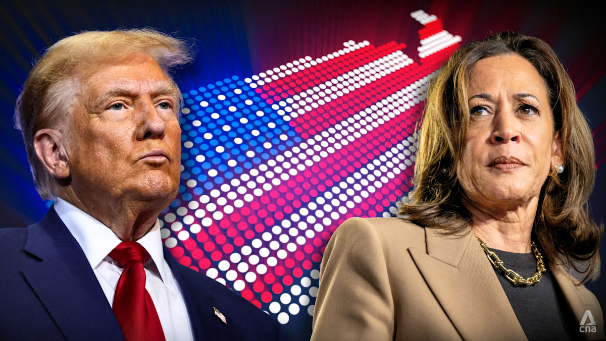 Live US election results: Interactive map - CNA