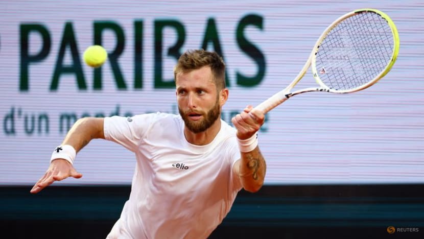 French Open organisers spoil Djokovic's football plans - CNA