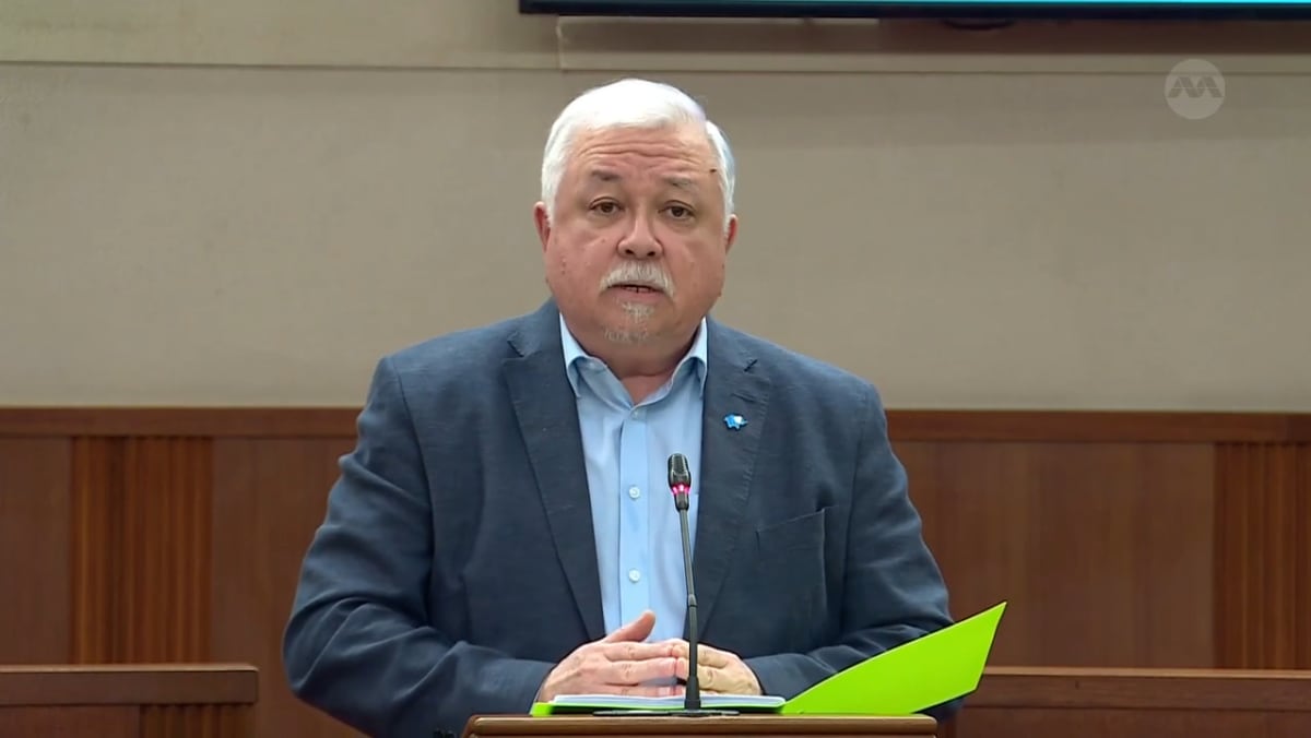 Keith Chua on Law Enforcement and Other Matters Bill - CNA