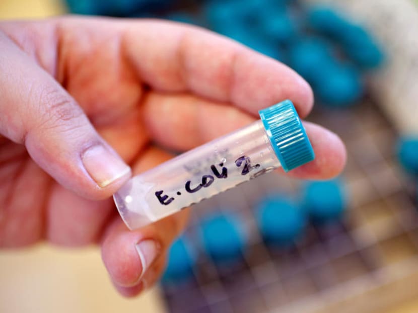 Gut microbes combine to cause colon cancer, study suggests - TODAY