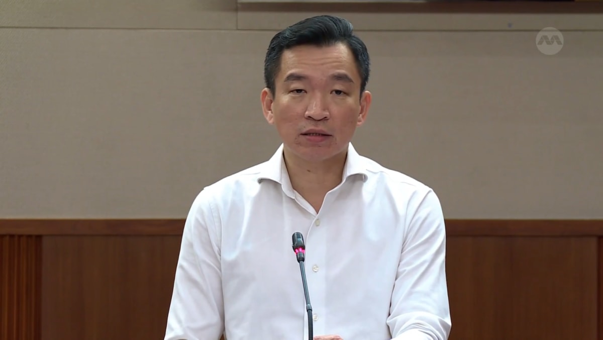 Eric Chua on Social Residential Homes Bill - CNA