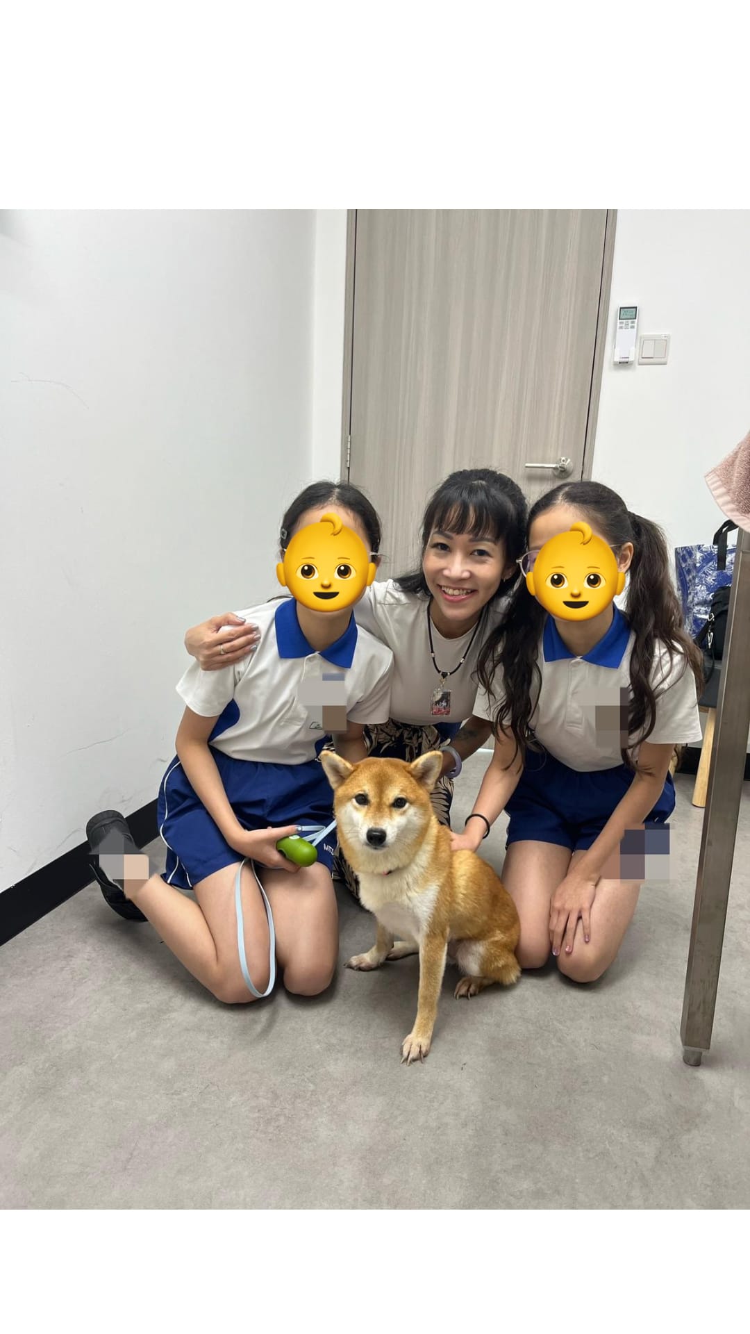 S’pore Dog Owner Shares Health Scare After Shiba Inu Fell Gravely Ill ...