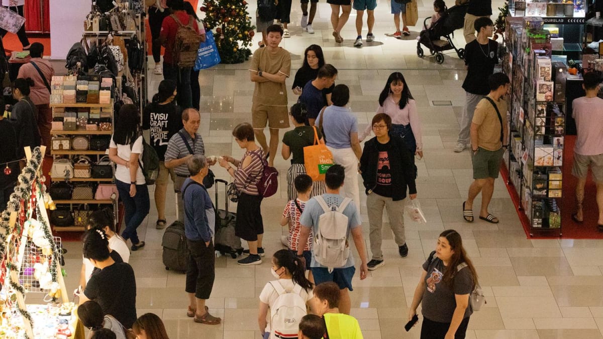 The Big Read in short: Is the influx of big-spending S'poreans a factor ...