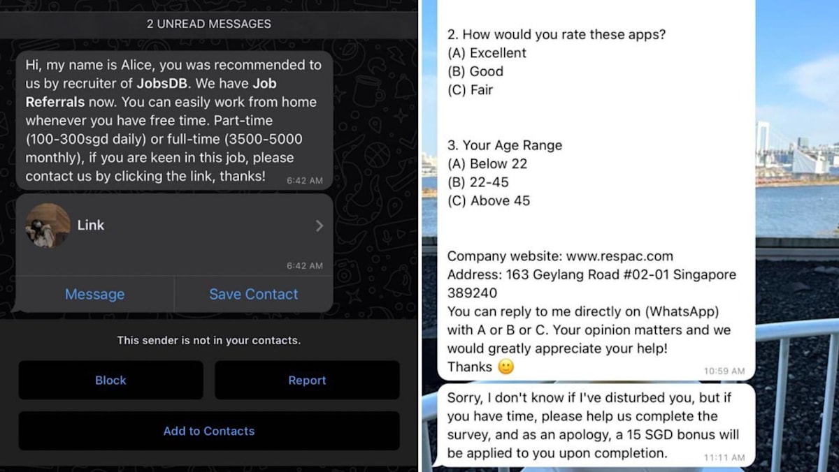 About S$20 million lost to job scams since May: Police - CNA