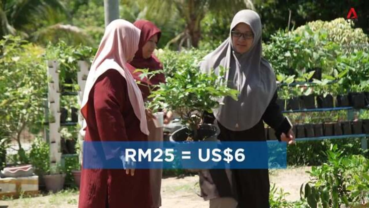 Money Mind 2025/2026 - Dollar Downturn - CNA