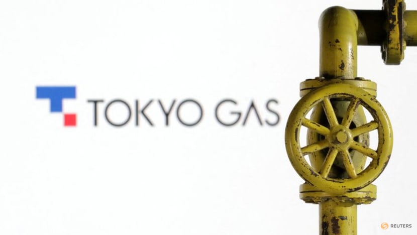 Tokyo Gas to boost capital efficiency with asset sales, president says ...