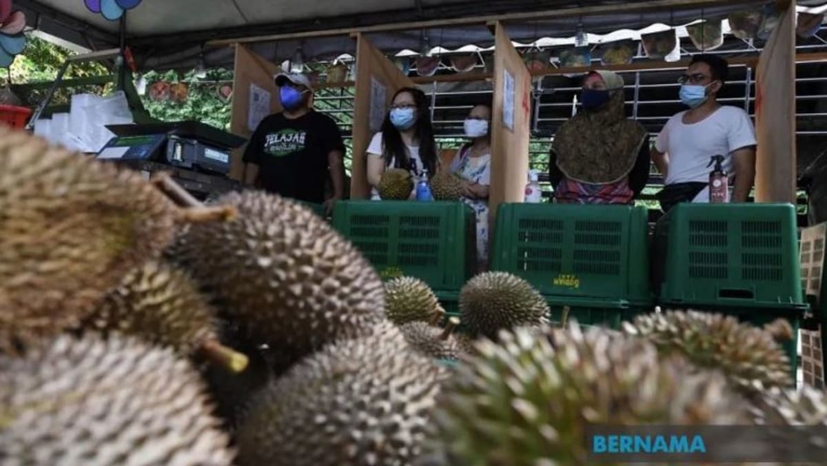 Nilai eksport durian M'sia lonjak RM74.8 juta dalam 5 tahun - BERITA ...