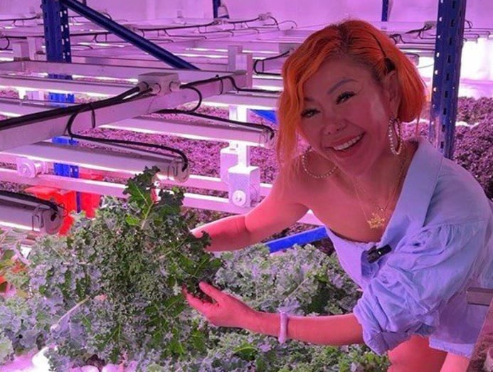 GroGrace founder Grace Lim is fighting to save her pesticide-free hydroponics farm in Jurong ...