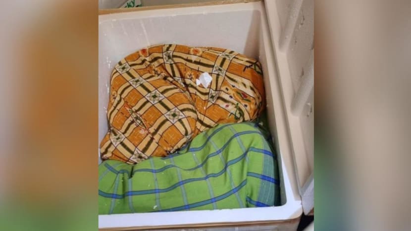 Live pythons seized after ICA officers foil smuggling attempt at Tuas ...