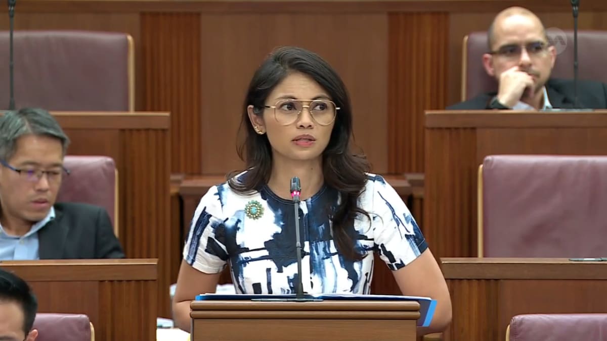 Usha Chandradas on Insurance (Amendment) Bill - CNA