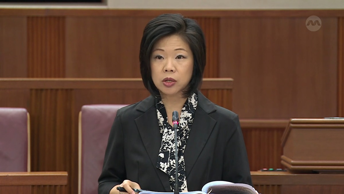 Sim Ann on Building Control (Amendment) Bill - CNA